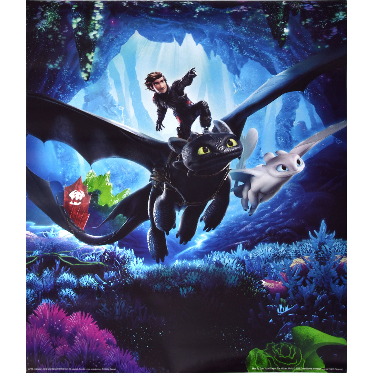 Juliste, Näin koulutat lohikäärmeesi 40 x 50 cm – Korttikauppa.fi